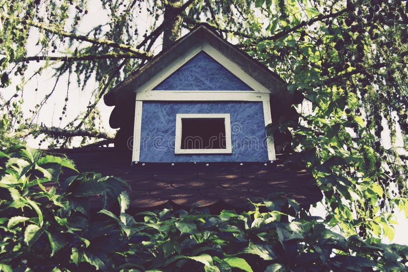 Blue Tree House on a Sunny Day Stock Image - Image of house, shot ...
