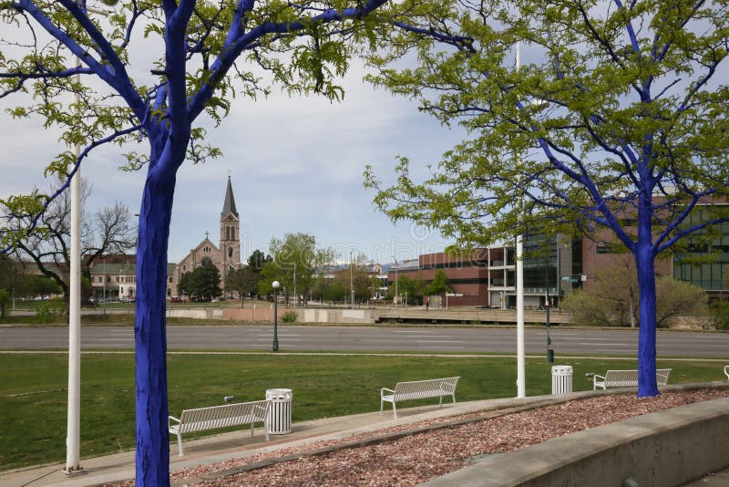Blue Trees in Downtown Denver Editorial Stock Photo - Image of ...