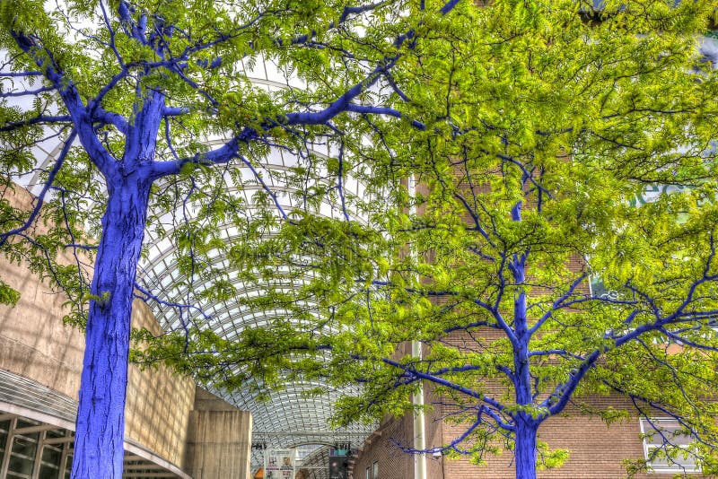 Blue Trees in Downtown Denver Editorial Stock Photo - Image of global ...