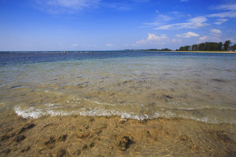 Can You Find Any Thai Restaurant Open Stock Photos - Free & Royalty ...