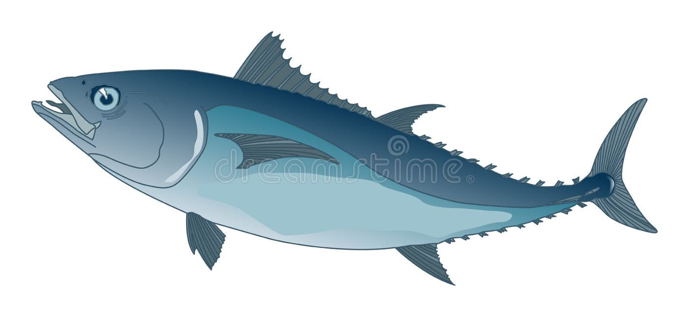 Tuna Tail Stock Illustrations – 15,451 Tuna Tail Stock Illustrations ...