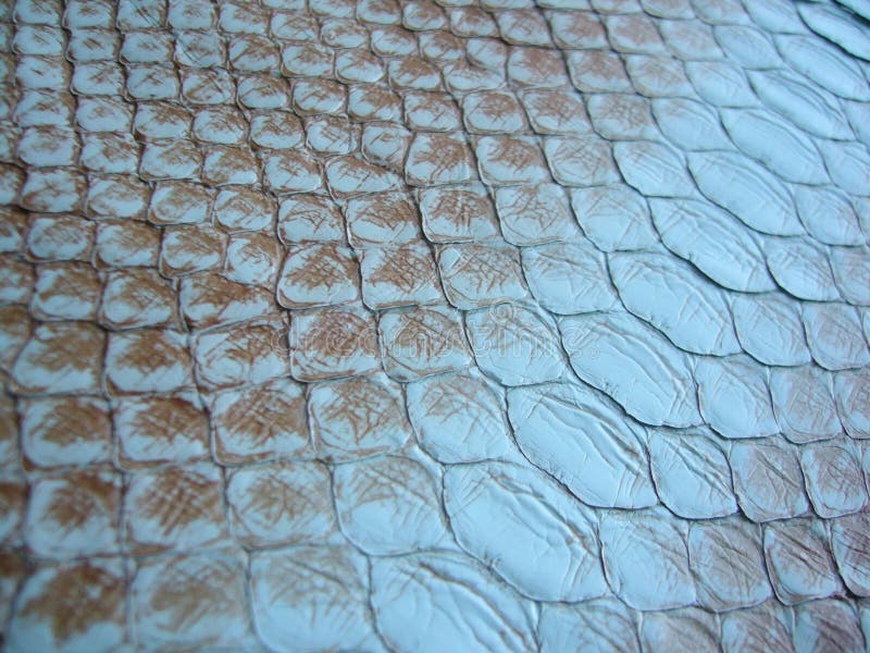 Blue, Turquoise Snakeskin with Scales, Genuine Leather for Clothes ...