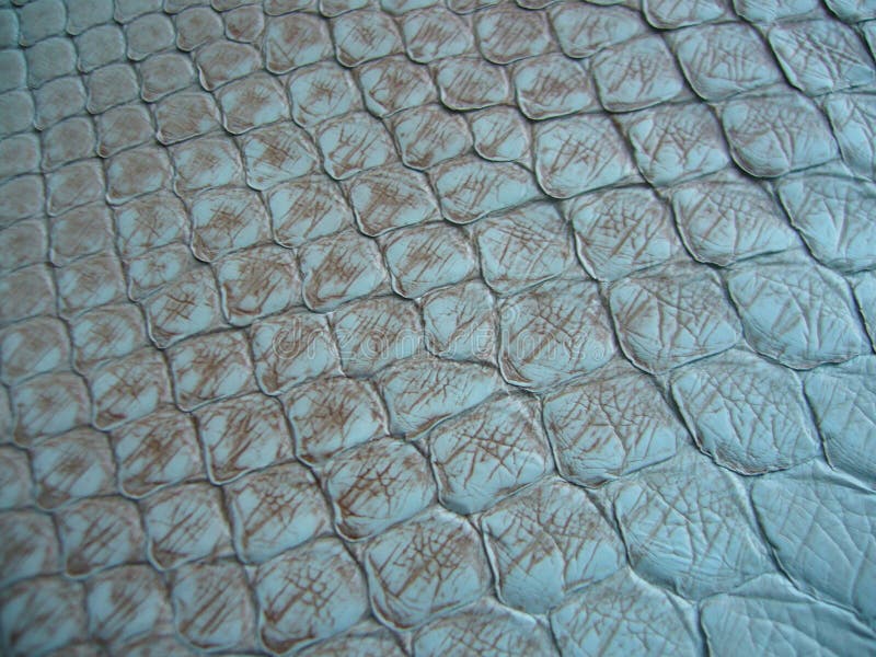 Blue, Turquoise Snakeskin with Scales, Genuine Leather for Clothes ...