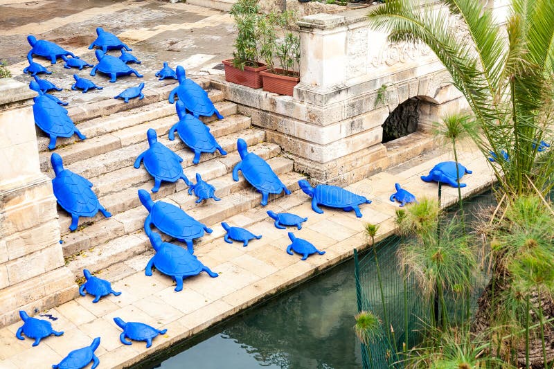 Blue turtle stock image. Image of swim, slow, turtle - 305873171