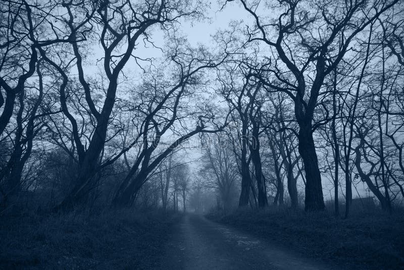 Blue Twilight Picture. Image: 3304571