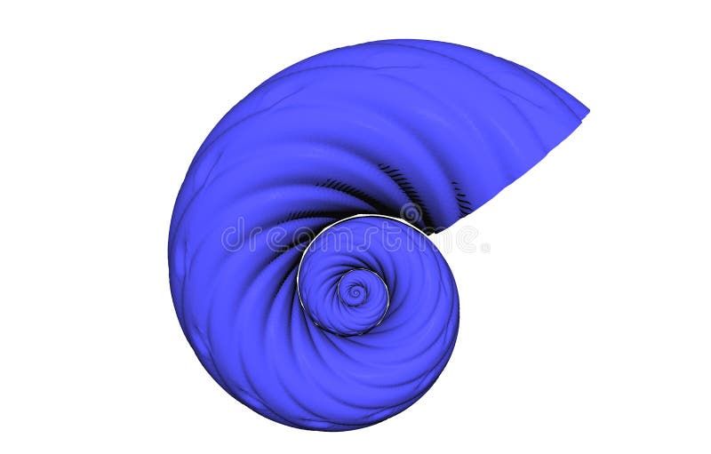 Blue twisted sea shell stock illustration. Illustration of grafik ...