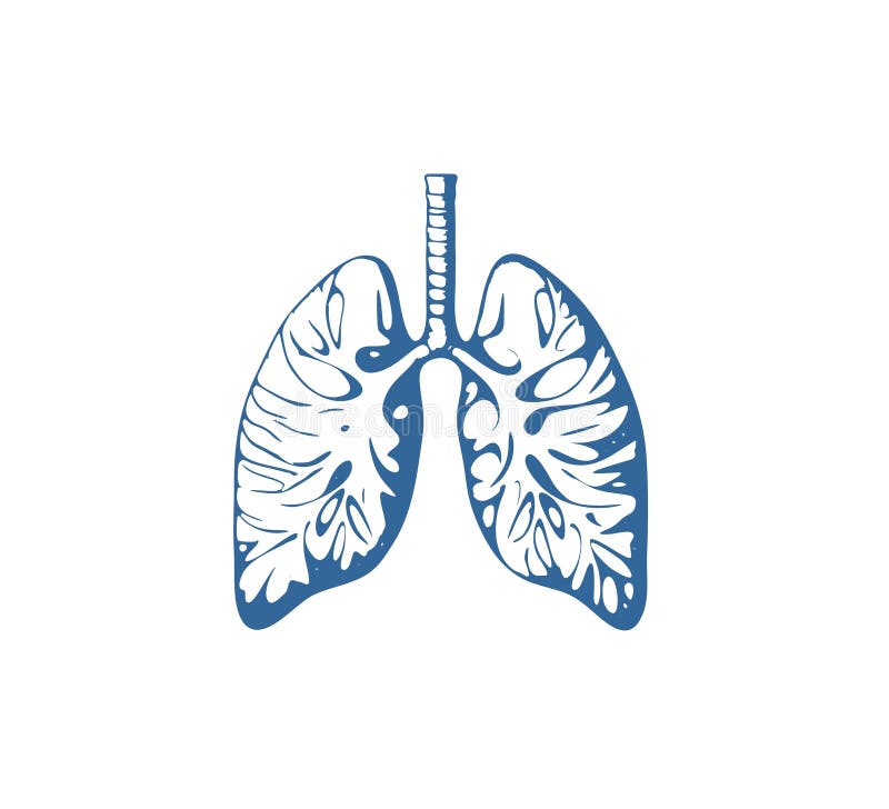 Lungs Vector Icon in Blue Color Stock Illustration - Illustration of ...