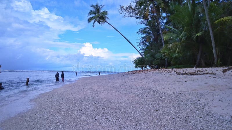 Blue View of Sky in the Beach in West Sumatra with Coconut Tree beside ...