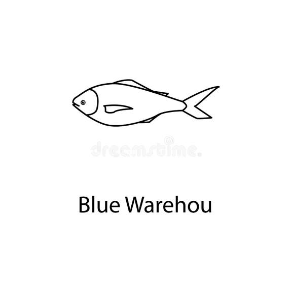 Blue Warehou Icon. Element of Marine Life for Mobile Concept and Web ...