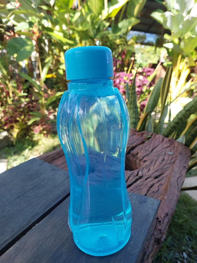 Blue Water Bottle on the Tree Table in the Beautiful Garden Stock Photo ...