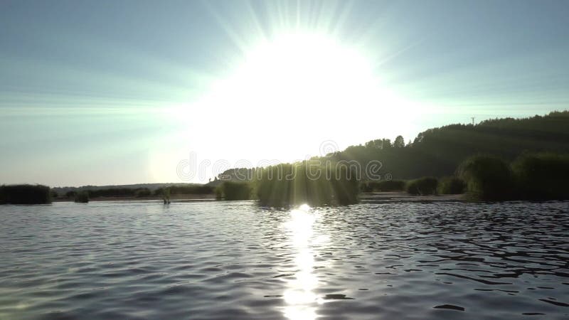 The Rays of the Sun are Reflected in the Forest Lake. the Forest Area ...