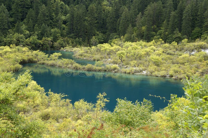 Blue water and green trees stock image. Image of nature - 33599245