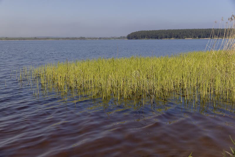 The Blue Water in the Lake Reflects the Blue Sky in Spring Stock Image ...