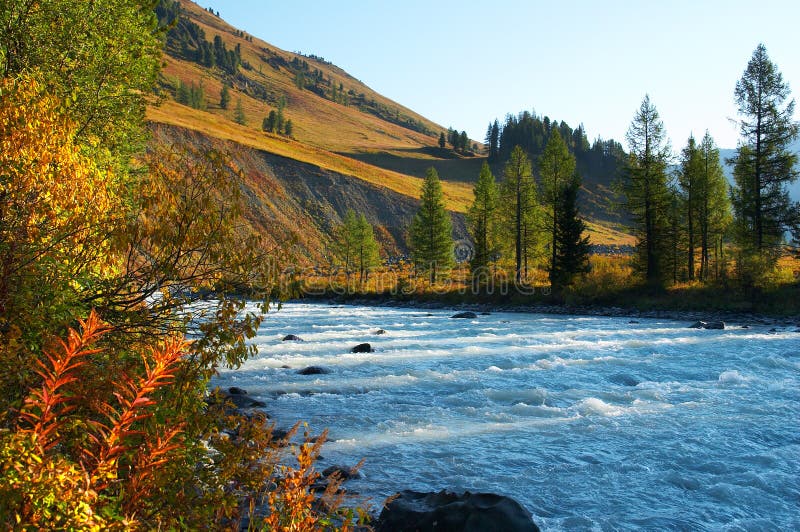 Blue water in river. stock image. Image of stone, bushes - 604125