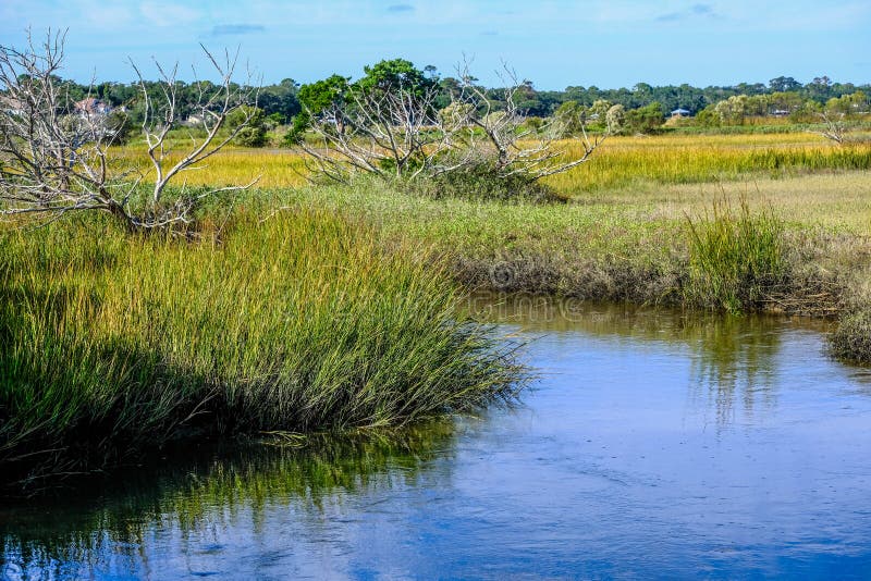 High Tide Saltwater Marsh Stock Photos - Free & Royalty-Free Stock ...
