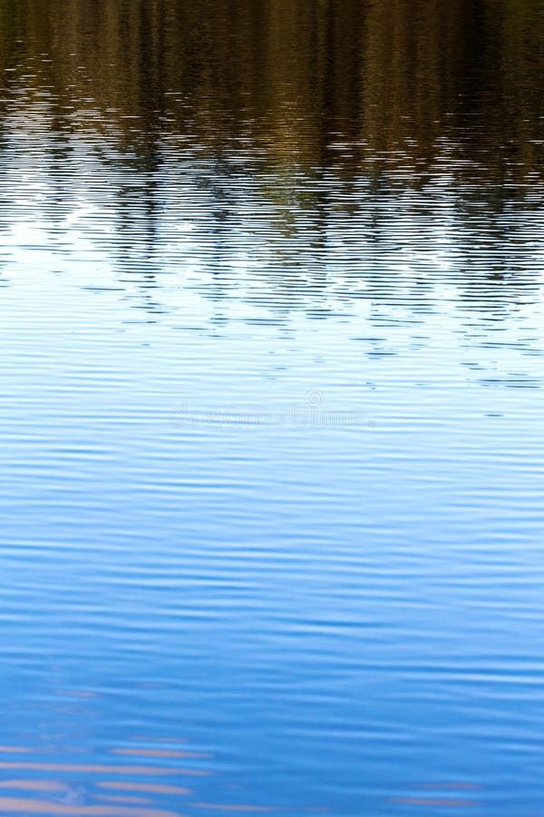 Blue Water with Small Waves and Reflection of Trees Stock Image - Image ...