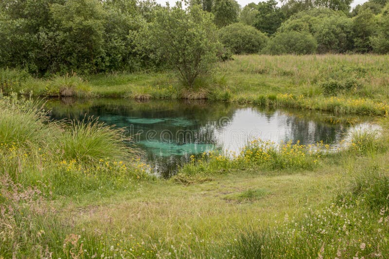 Blue Water Source Bottom of a Small Lake Stock Image - Image of ...