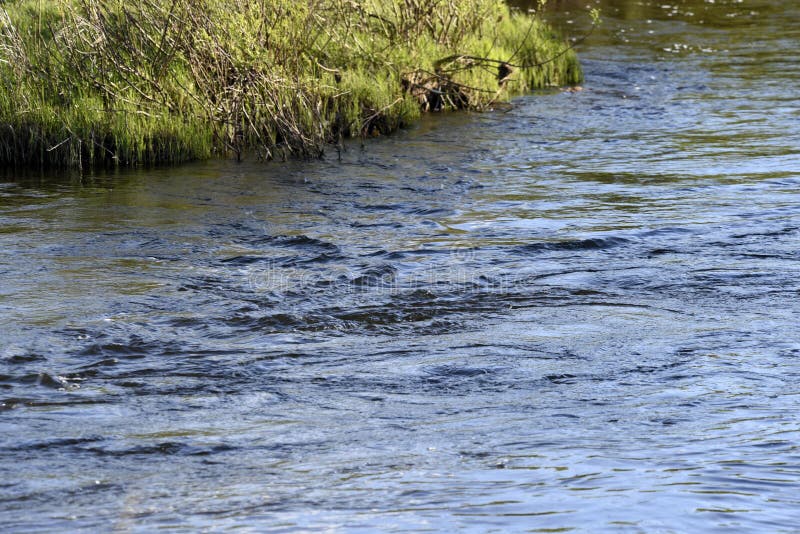 The Blue Water of the Spring River. Banks with Green Grass Stock Photo ...