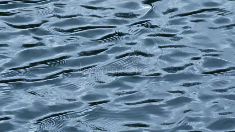 Blue Water Surface with Fast Moving Ripples Stock Video - Video of pond ...