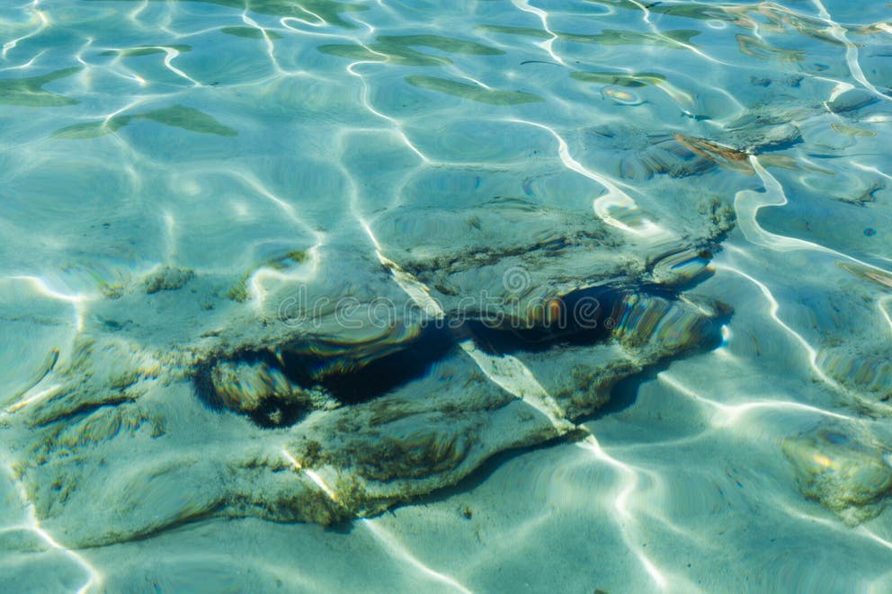 Blue Water Surface with Sun Reflections. Background and Texture Stock ...