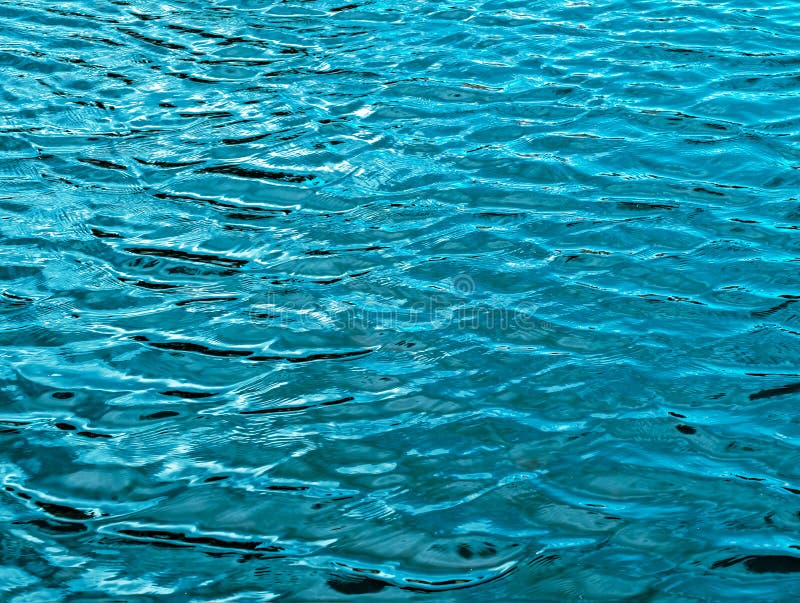 Wallpapers Monster High Draculaura Stock Photos - Free & Royalty-Free ...