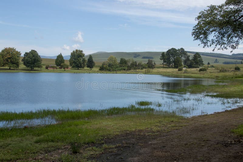 Blue Water Surrounded by Grass and Trees at Midmar Dam Stock Photo ...