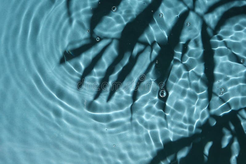 Blue Water Texture Background on the Noon Sunlight with Leaves Shadow ...