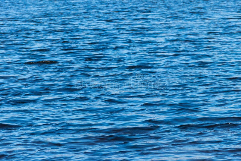 Blue water texture stock photo. Image of liquid, abstract - 165010862