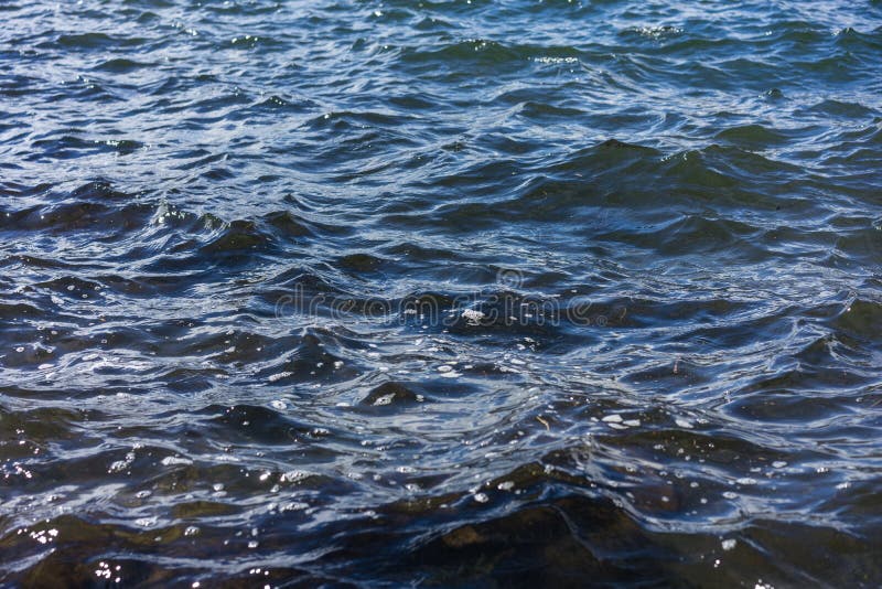 The Texture of the Ripples on the Water.from of Vibration, Pulsation ...