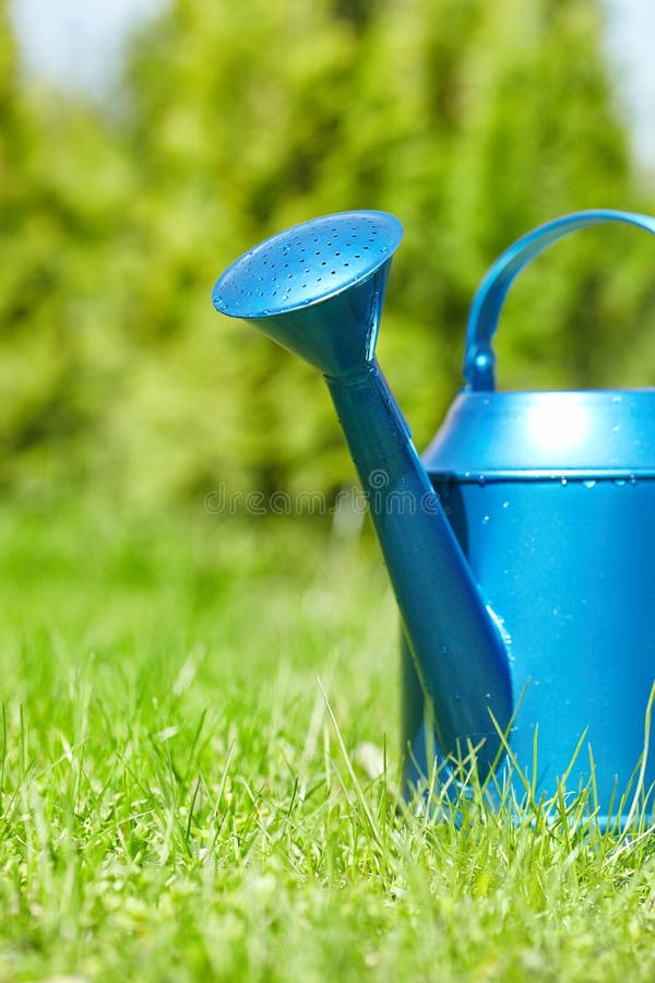 Purple watering can stock photo. Image of watering, summer - 31785462