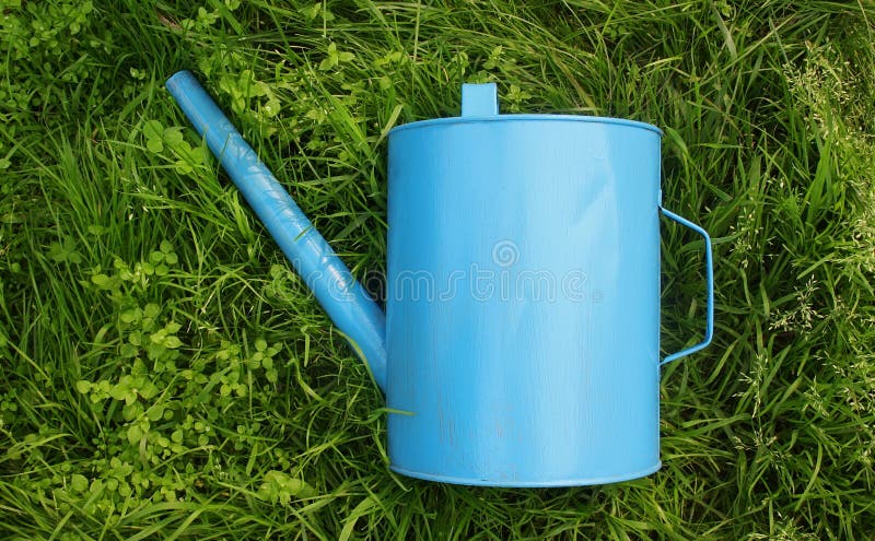 Blue watering can on grass stock image. Image of meadow - 27552397