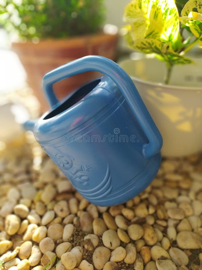 Close-up of the Garden View, Stone Courtyard, Beautiful, Morning ...