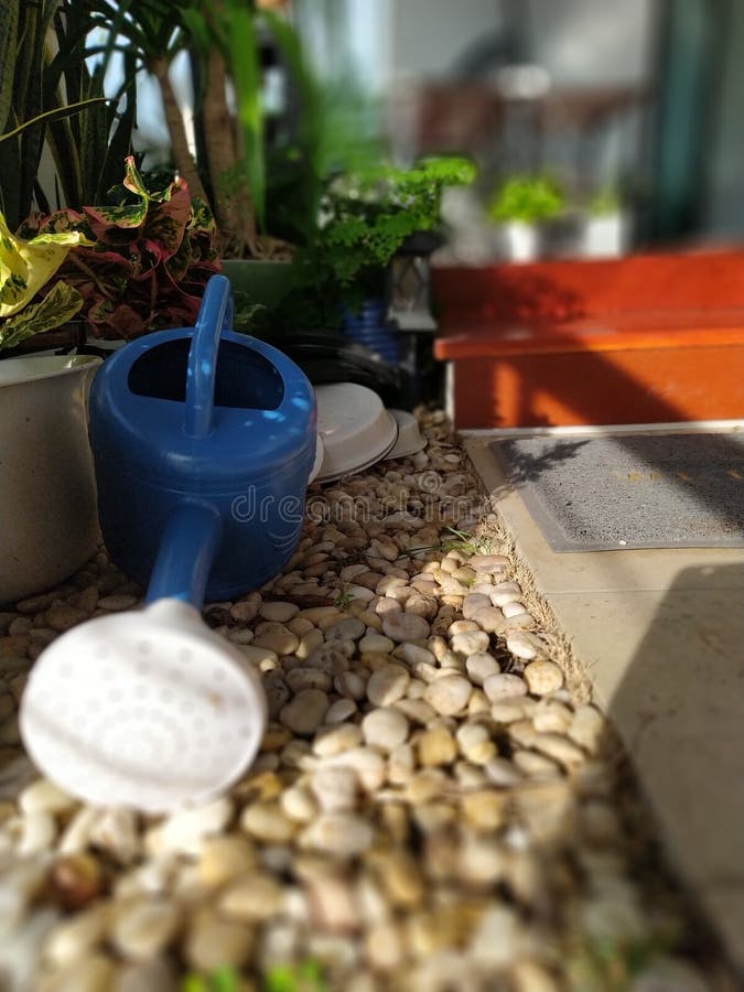 Close-up of the Garden View, Stone Courtyard, Beautiful, Morning ...