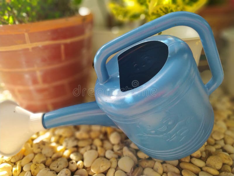 Close-up of the Garden View, Stone Courtyard, Beautiful, Morning ...
