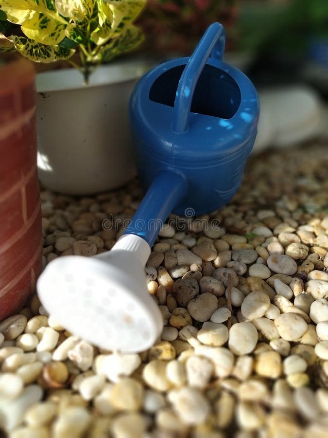 Close-up of the Garden View, Stone Courtyard, Beautiful, Morning ...