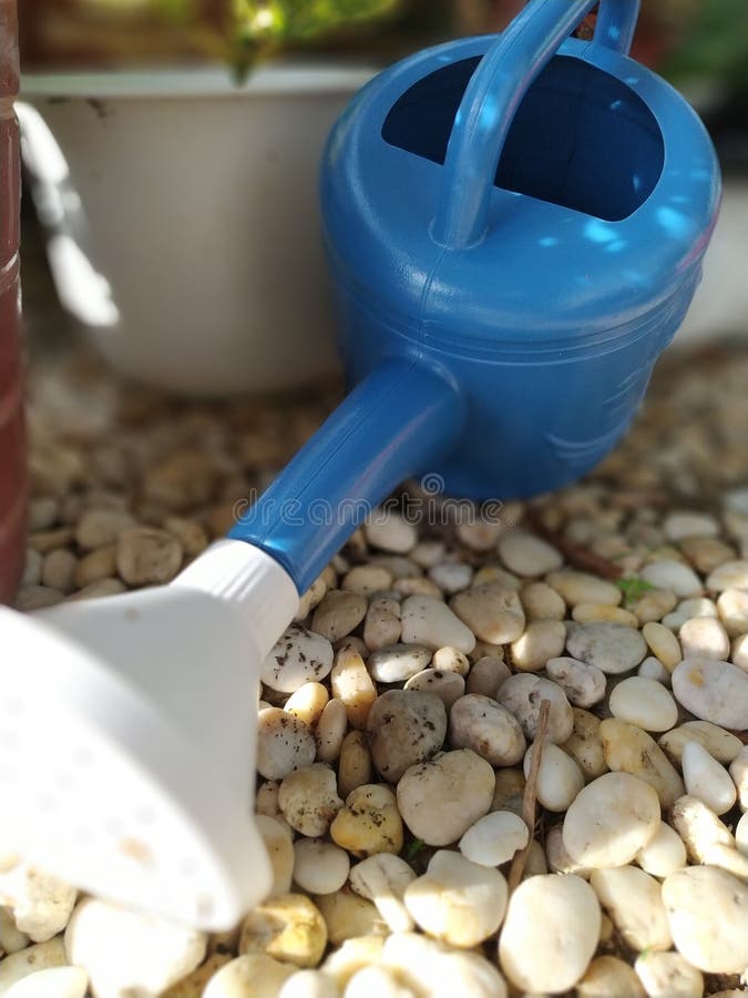 Close-up of the Garden View, Stone Courtyard, Beautiful, Morning ...