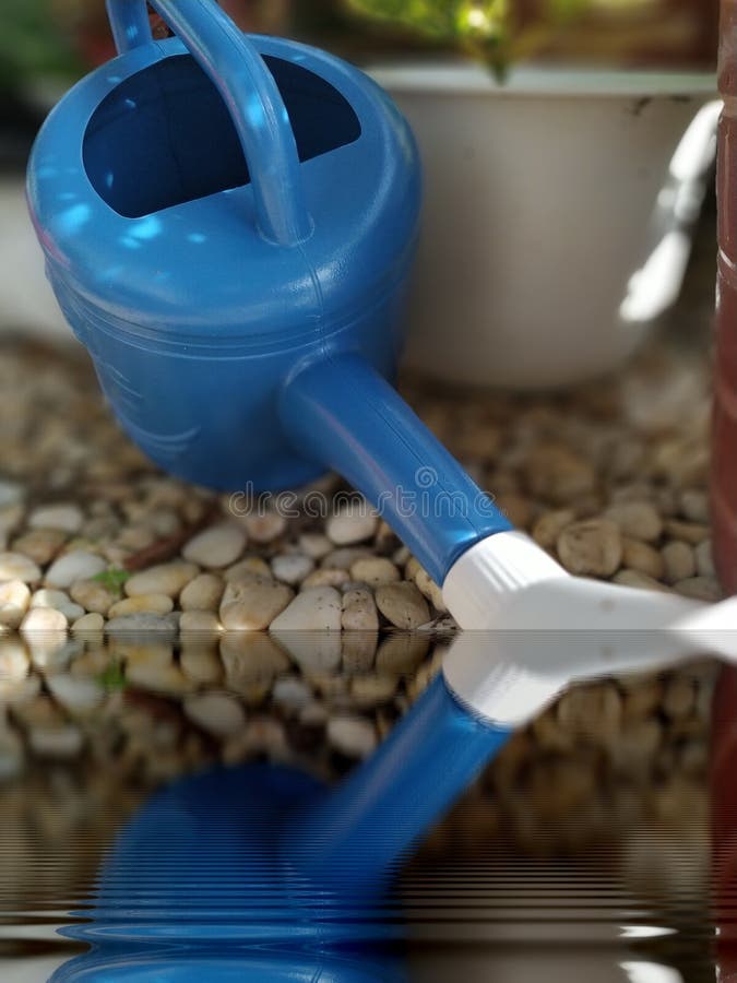 Close-up of the Garden View, Stone Courtyard, Beautiful, Morning ...