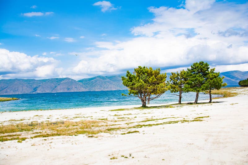 Blue Waters of Lake Sevan and a Lonely Tree on a White Beach Stock ...