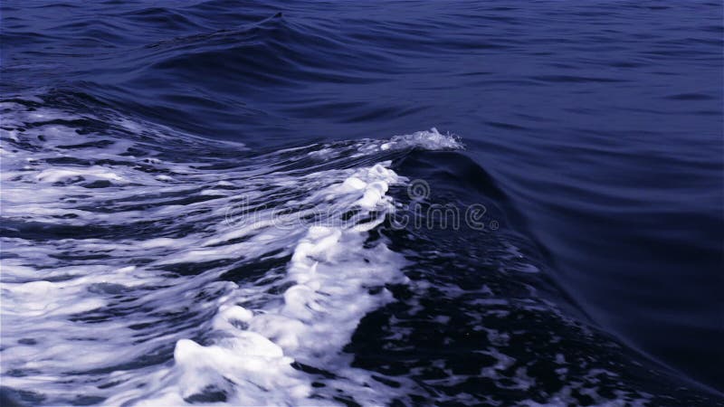 Waves behind the ship stock video. Video of summer, vacation - 333458393