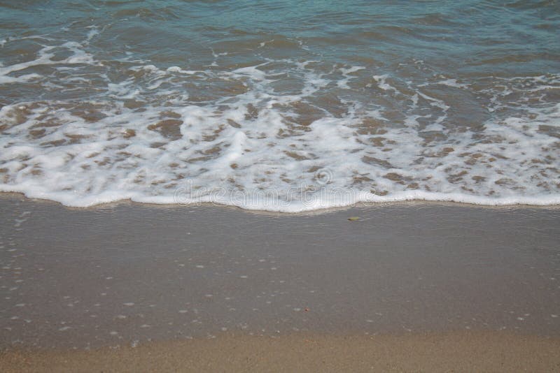 Donkey Wave Photos - Free & Royalty-Free Stock Photos from Dreamstime