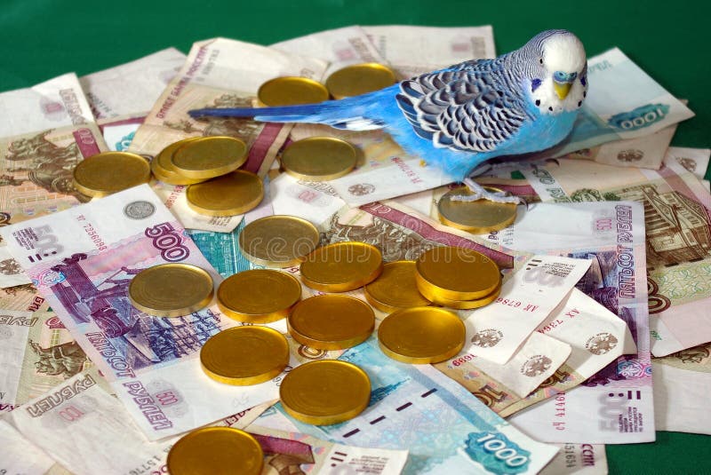The Small Green Car. The Nursery Toy. Stock Photo - Image of play ...