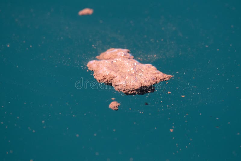 Blue Whale Red Feces Krill Excrement Stock Photo - Image of aquatic ...