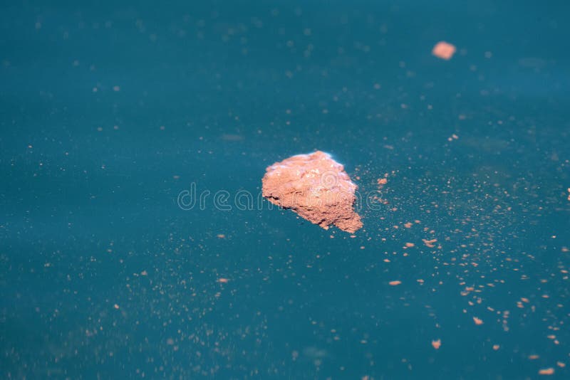 Blue Whale Red Feces Krill Excrement Stock Image - Image of aquatic ...
