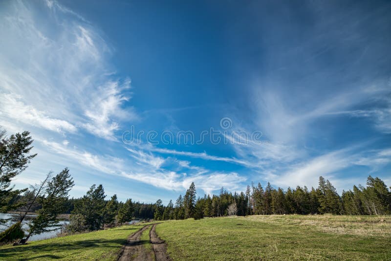 Blue Whispy Clouds in Sky Above Forest Stock Photo - Image of ...