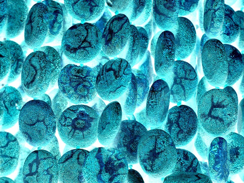 Blue and White Abstract Background with Decorative Elements Stock Photo ...