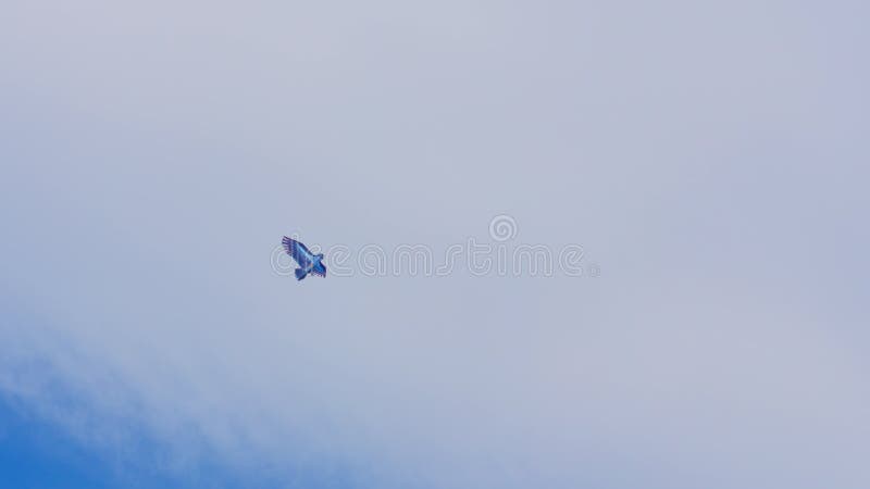 Blue And White Airplane Soaring Through The Clouds Stock Footage