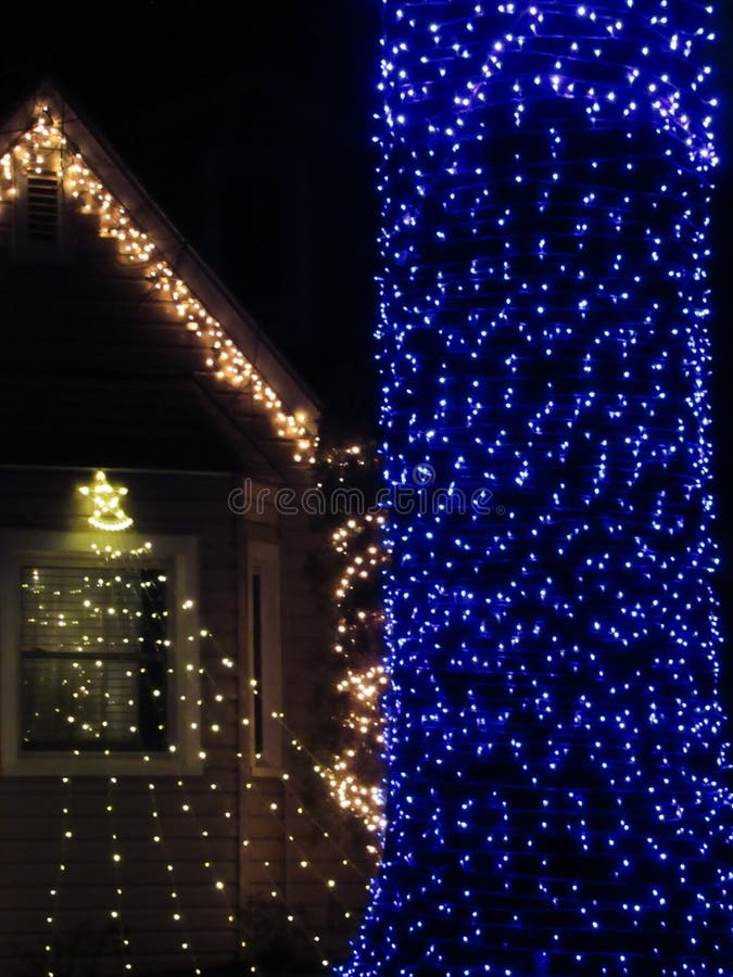 Blue and white lights stock photo. Image of purple, trunk - 263874266