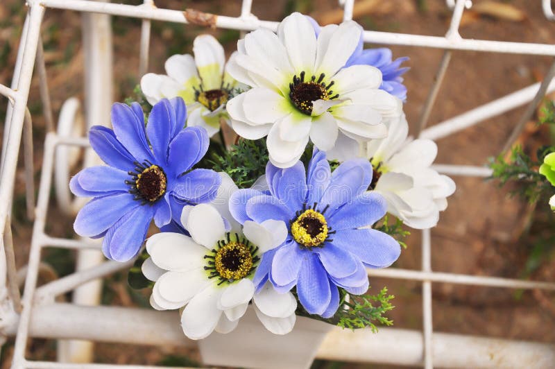 Blue and White Plastic Flowers Stock Photo - Image of modern, gardening ...