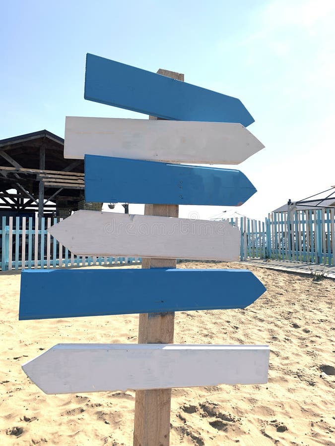 Blue and white pointer stock photo. Image of leisure - 219916106