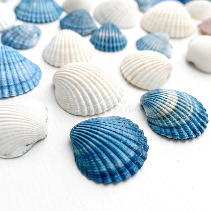 Blue and White Seashells on a White Surface Stock Illustration ...